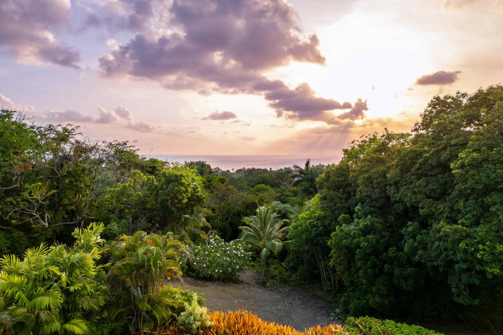 Sandy Lane - Phoenix Villa, 4 bedroom Villa in Barbados | Top Villas